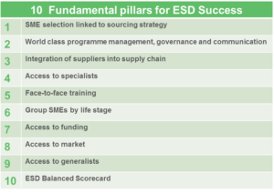 Ten (NINE) Fundamental Pillars for ESD Success - Edge Growth